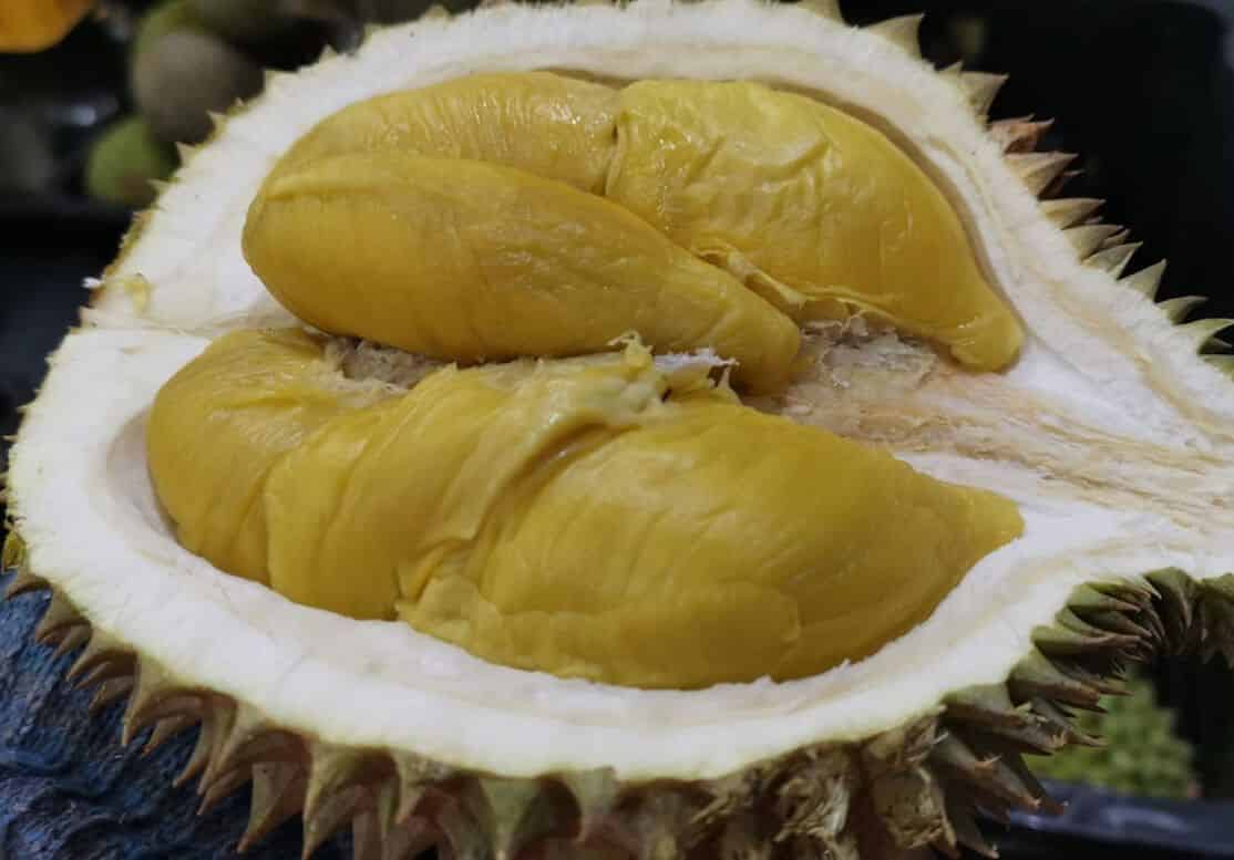 Learn About Different Types of Durian | Grab SG
