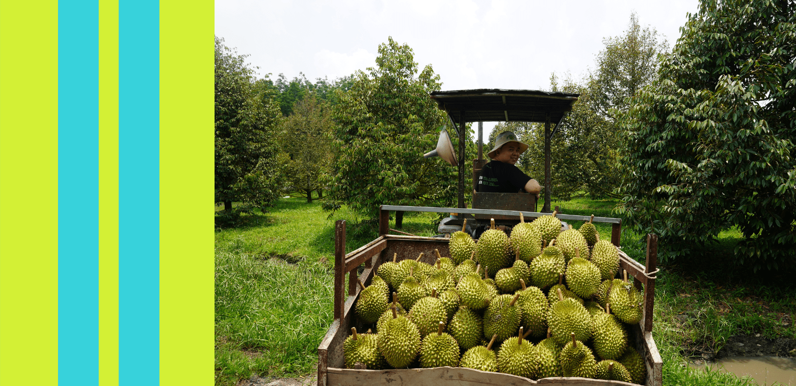 From farm to doorstep: Bringing farmers online in Vietnam | Inside Grab