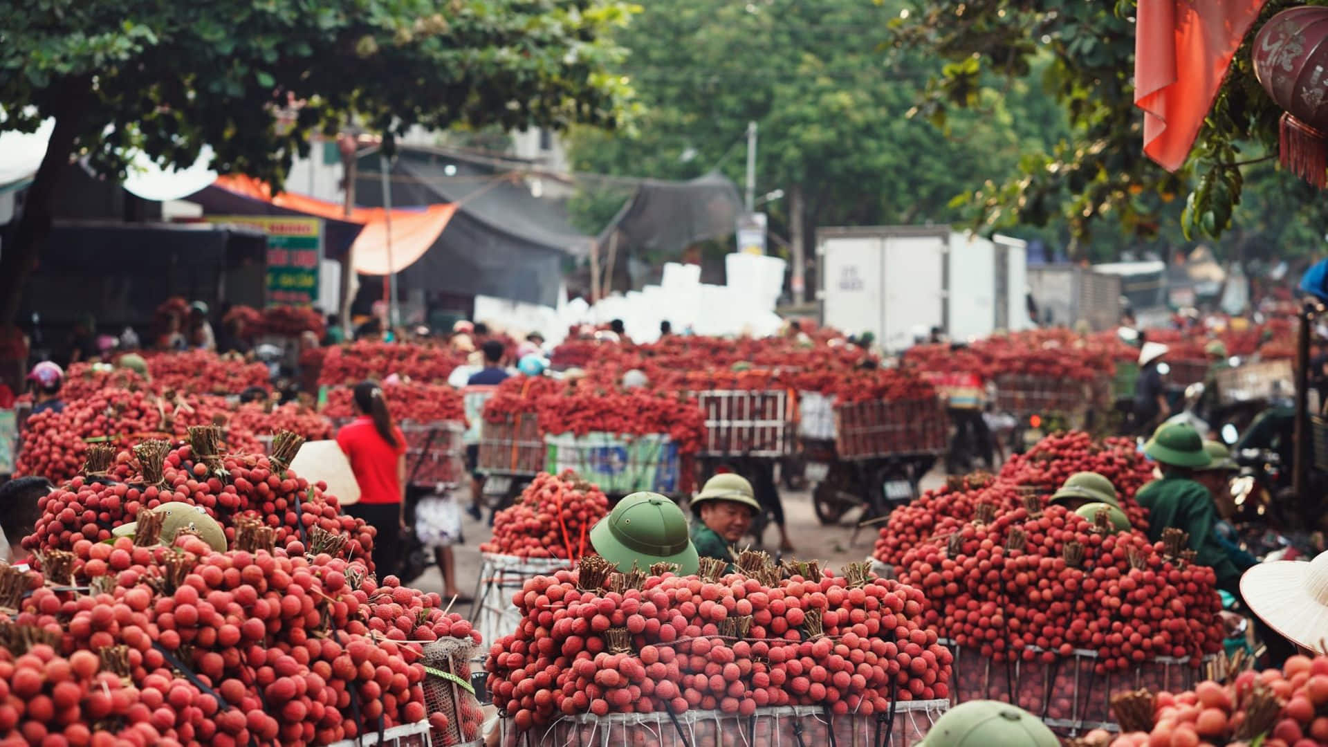 From farm to doorstep: Bringing farmers online in Vietnam | Inside Grab